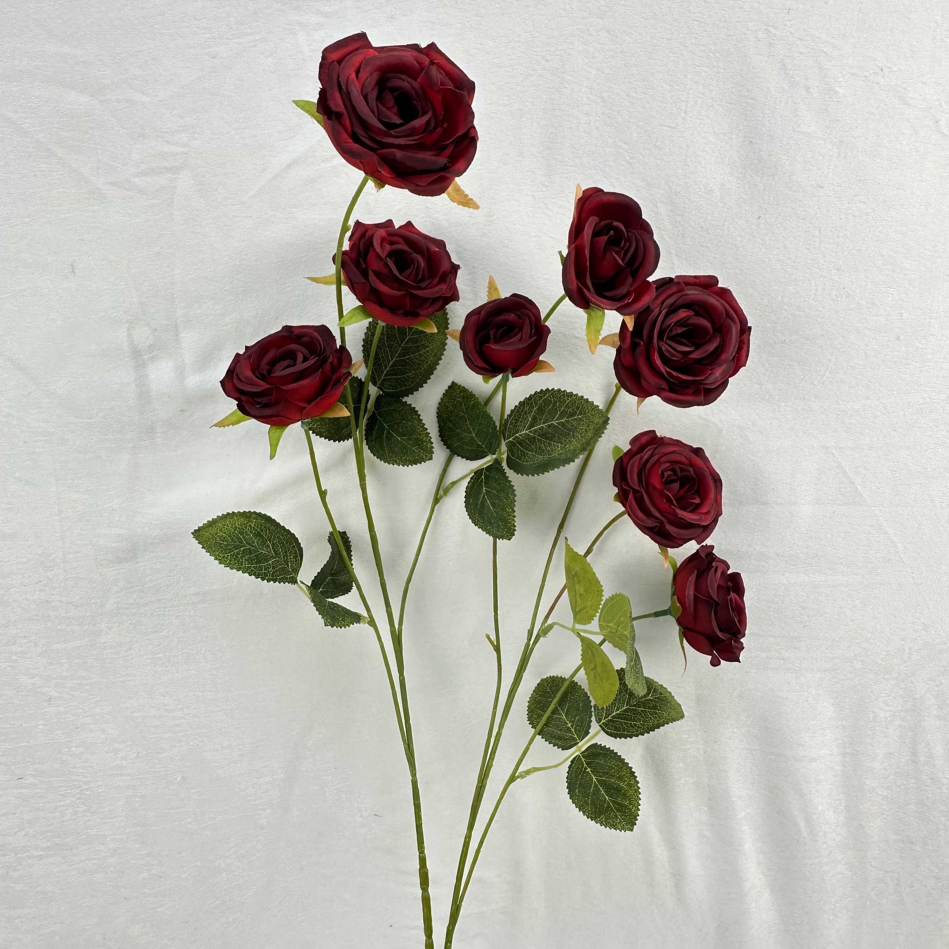 Red Silk Empress Rose Bush - 8 Heads | RosesHQ.com – Roses HQ